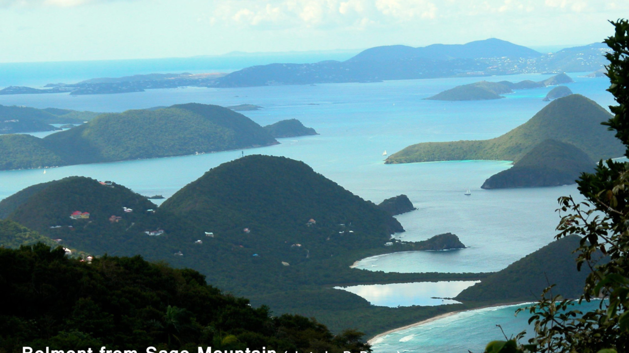 Front Page - Belmont Association